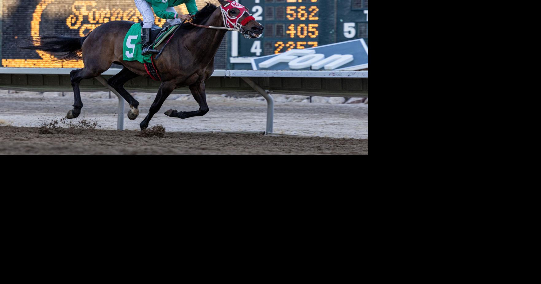 Tennessee Moon shines in Bold Accent