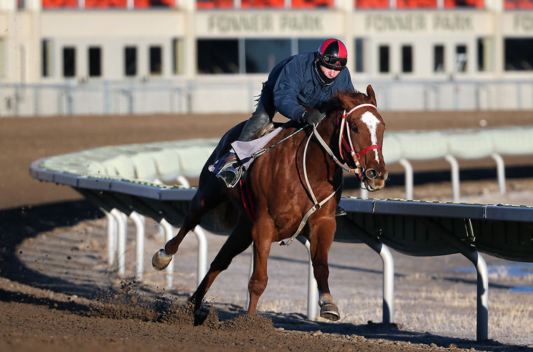 All events -- including horse racing -- still on at Fonner Park
