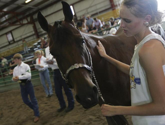 Horse judging key to becoming well-rounded horseman