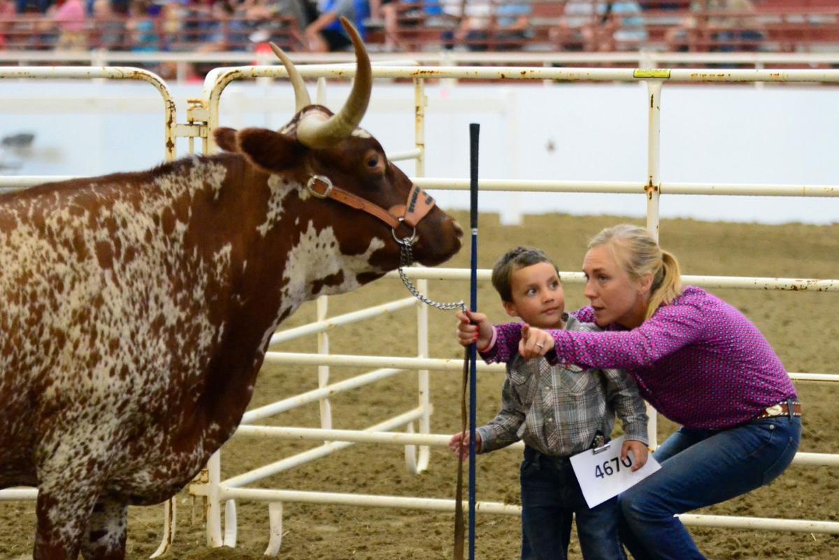 Longhorn show brings families together | Nebraska State Fair News ...