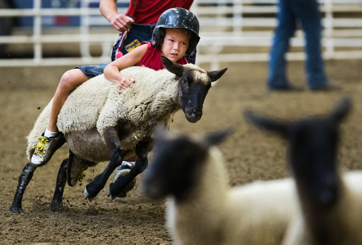 Kids hold on during Mutton Bustin’ Finals