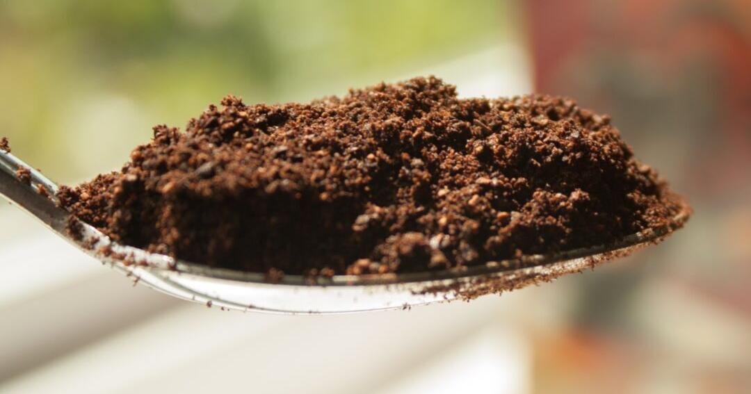 Grand Island coffee house has fond memories of the late Hayes Morgheim