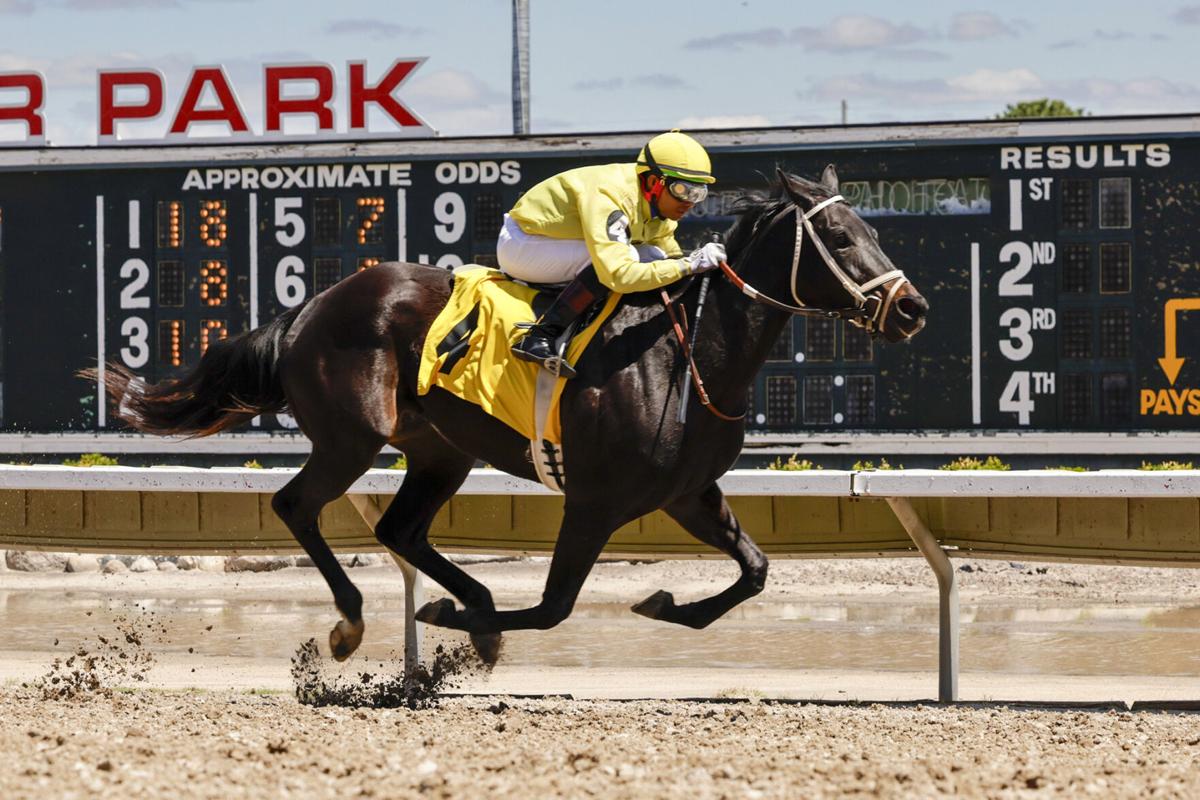 Nebraska has as many Thoroughbred racetracks as Kentucky, the US horse ...