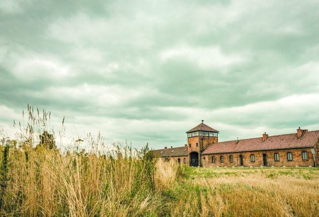 “Sifting Through Ashes” – Artist Bruce Gendelman captures the Holocaust ...