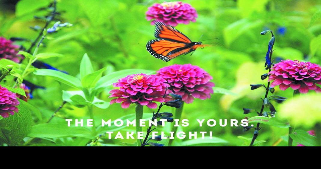 Text Less, Talk More: Get started with Picture a Conversation ...