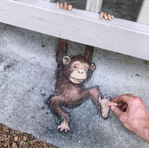 Chalk Artist David Zinn Brings Creativity to Greenfest | Local News ...