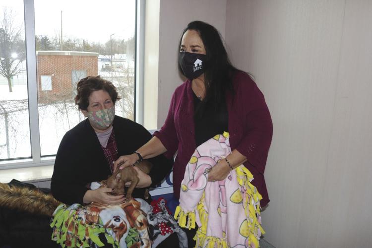 Renee Kaplan Uses Hobby of Making Blankets to Help Animal Shelters ...