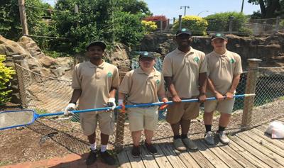 oak tree summer internship