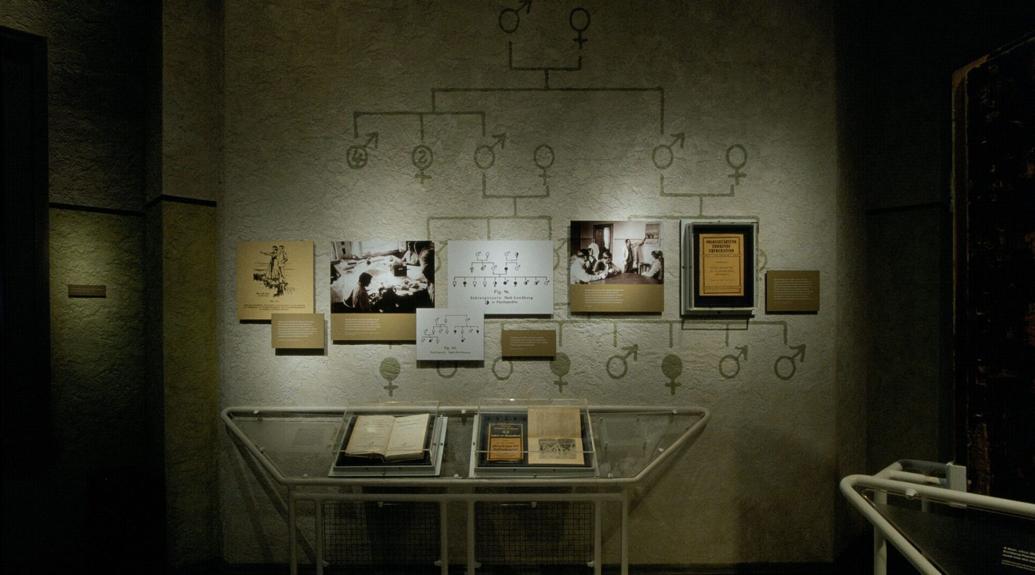 Leading American Medical Journal Faces Down Its Own History of ...