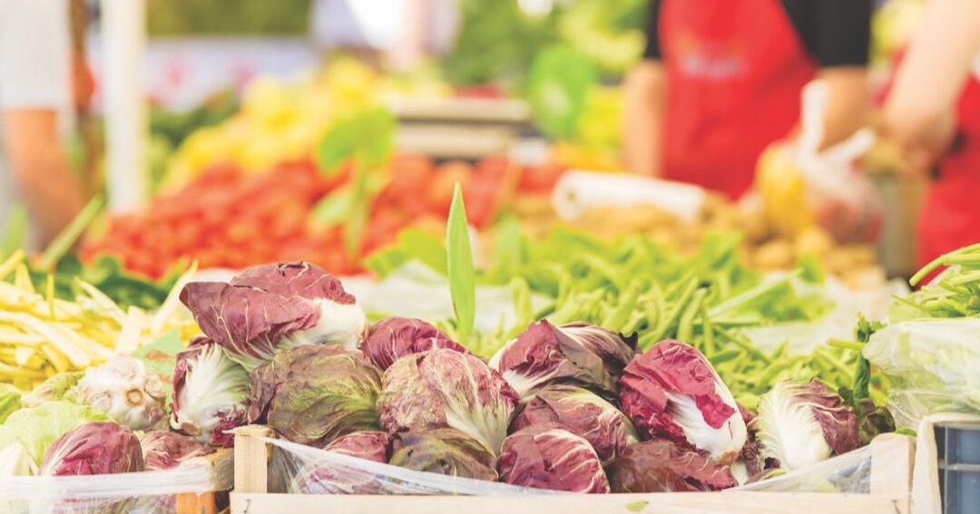 Hazon’s Jewish Food Festival Is Back Live and in-Person at Detroit’s ...