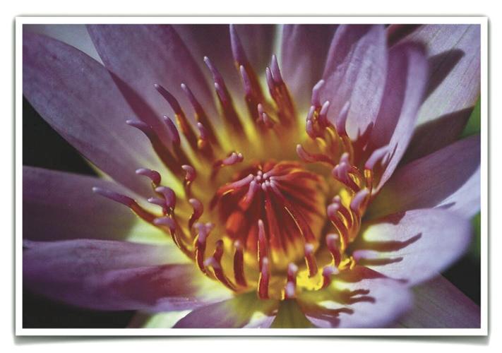 In Living Color: Steven Tapper’s photographs celebrate what’s right ...