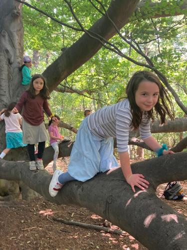 Southfield Moms Build Metro Detroit’s First Orthodox Girls Nature Camp ...