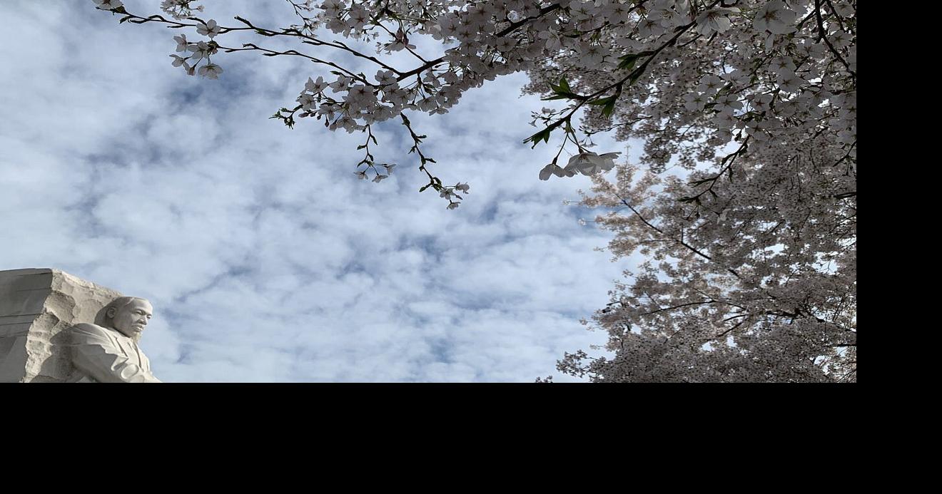 Jewish Communities Put Action to Words on MLK Day | News ...