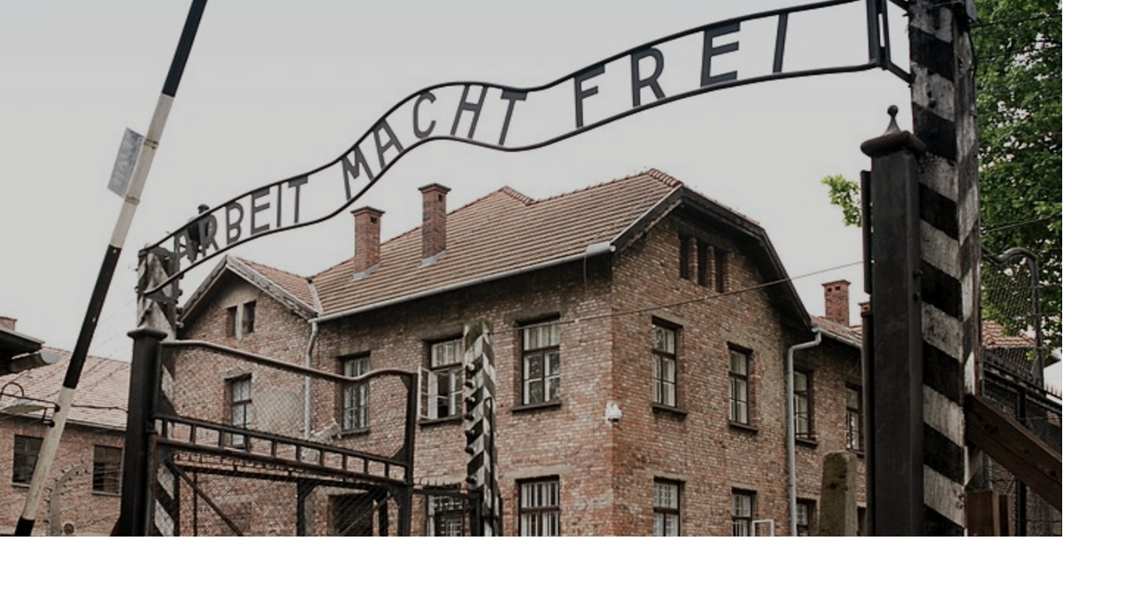 SpongeBob Meme Exposes Cracks in Meta's Holocaust Denial Defenses ...