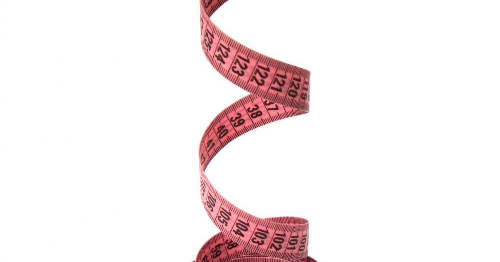 Ensconced in the Family Fabric | Archives | thejewishnews.com