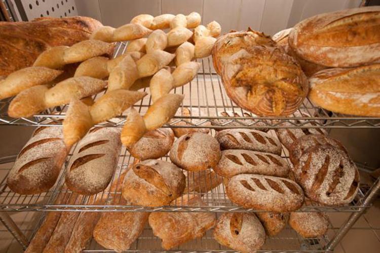 Crispelli’s | Archives | thejewishnews.com