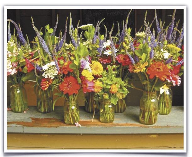 In Living Color: Steven Tapper’s photographs celebrate what’s right ...