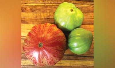 From the Home Kitchen of Chef Aaron: Tomato Milanese | Nosh ...