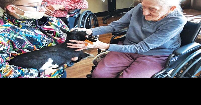 Nursing home residents have adopted Merrill’s animals | News ...