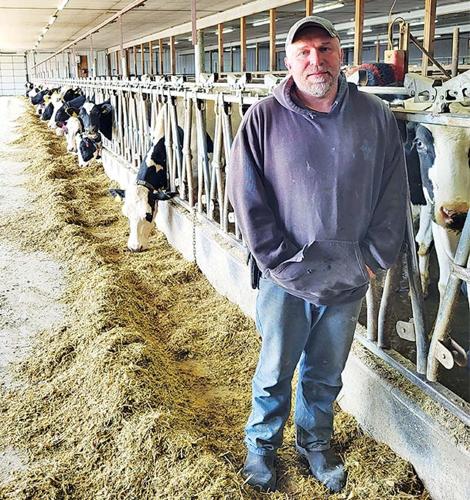 Robotic milking is keeping these two farms in dairy | News ...