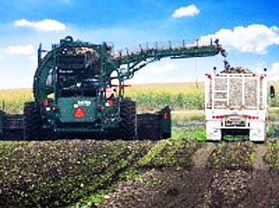 Sugar beets are out of the ground, processing kicks into gear | News ...