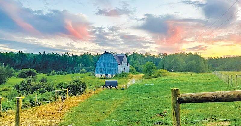 MDA program is a boon for protecting northern livestock | News ...