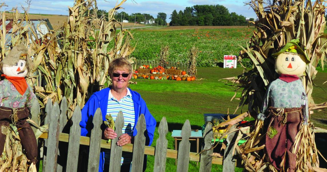 Iowa pumpkin patch is a labor of love for families | News ...