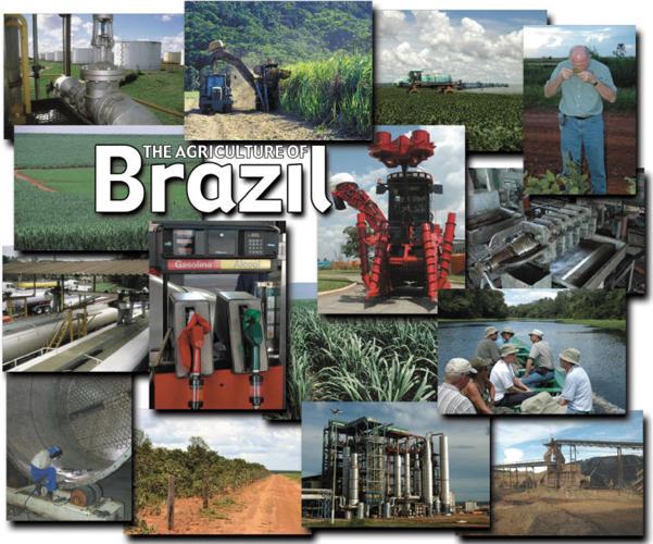 Sugar cane, soybeans drive Brazilian agriculture | Archives ...