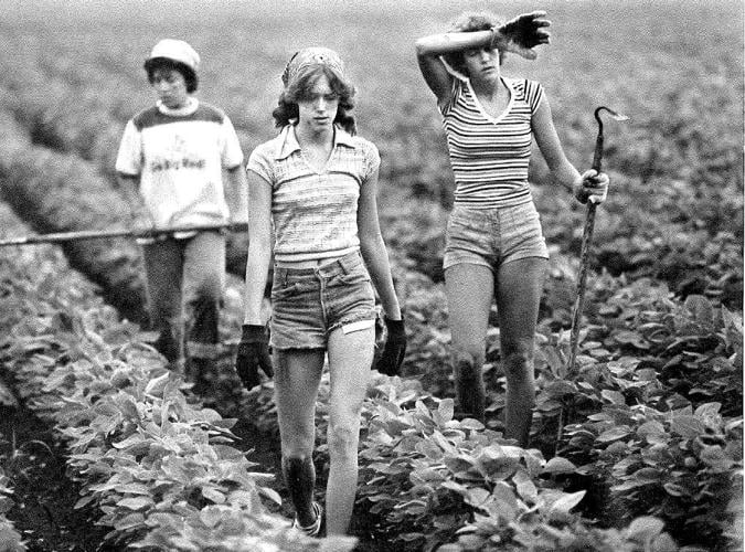Blast From The Past: Making hay and walking beans | News ...