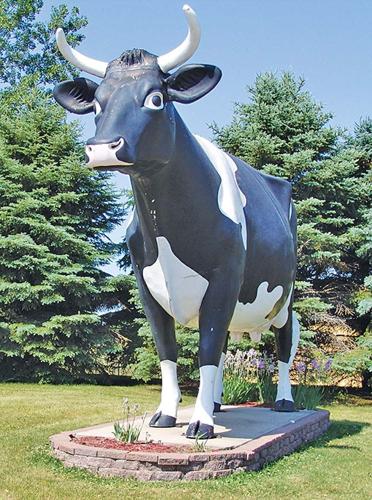 Back Roads: Crazy about curds | News | thelandonline.com