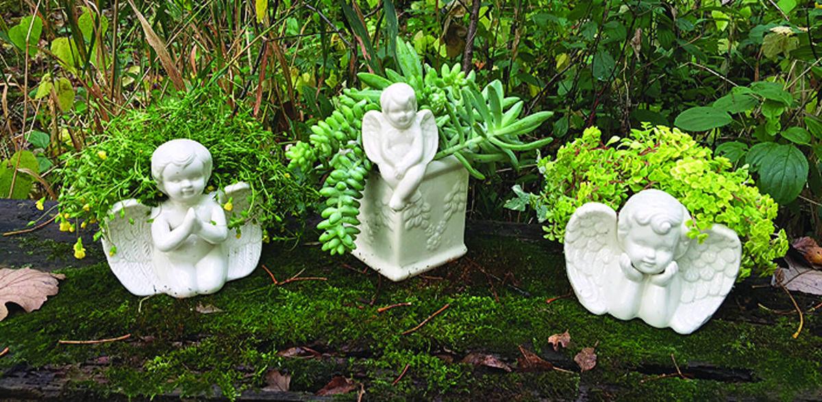 In The Garden: Cherub planters bring delight | News | thelandonline.com