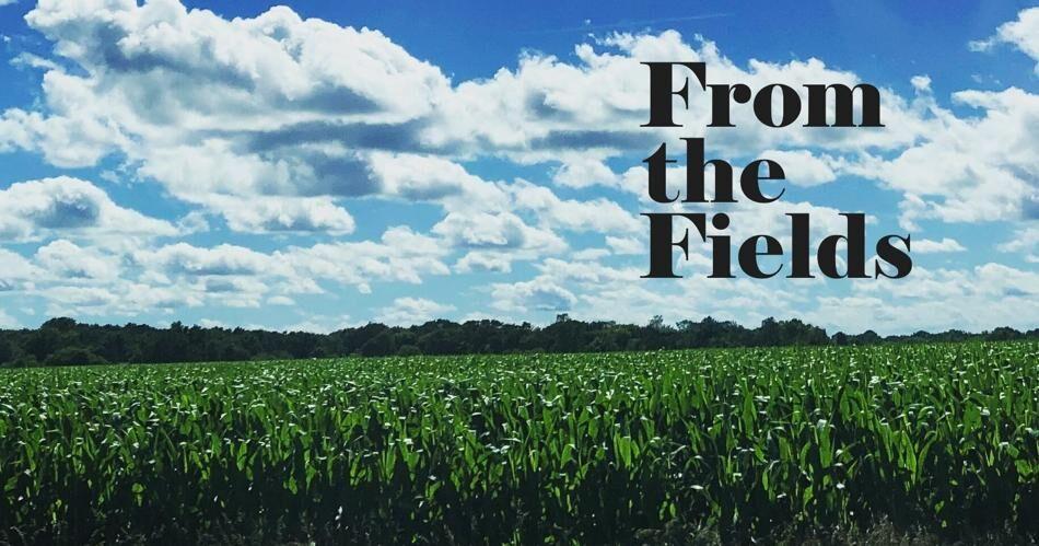 From the Fields: Fieldwork mostly manageable between weather events ...