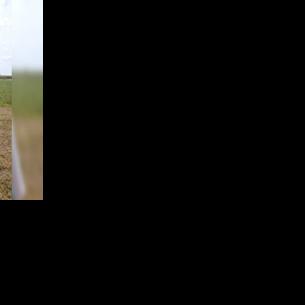 Couple celebrates 40th anniversary at Hay Expo | News | thelandonline.com