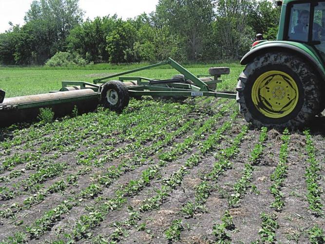 ‘Ground rolling’ spreading across Minnesota landscape | Archives ...