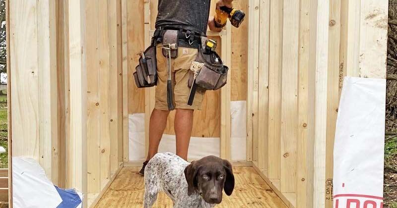 Land Minds: Duke and the deer | News | thelandonline.com