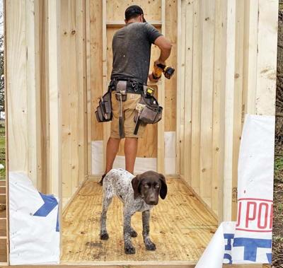 Land Minds: Duke and the deer | News | thelandonline.com