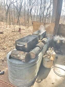 Dummer family continues maple syrup tradition | News | thelandonline.com