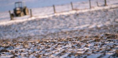 Winter’s frost rapidly coming out of the ground | News | thelandonline.com