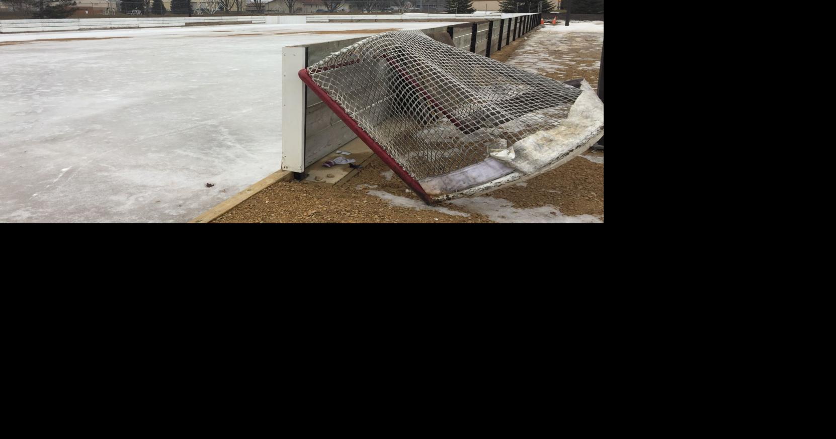 Skating forward: Spring Lake Park outdoor skating project receives ...
