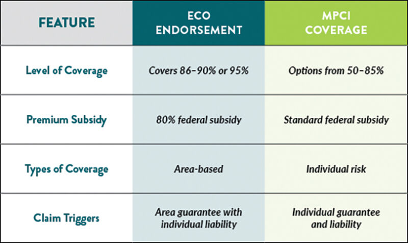Financial Focus: Understanding the benefits of ECO and SCO coverage ...