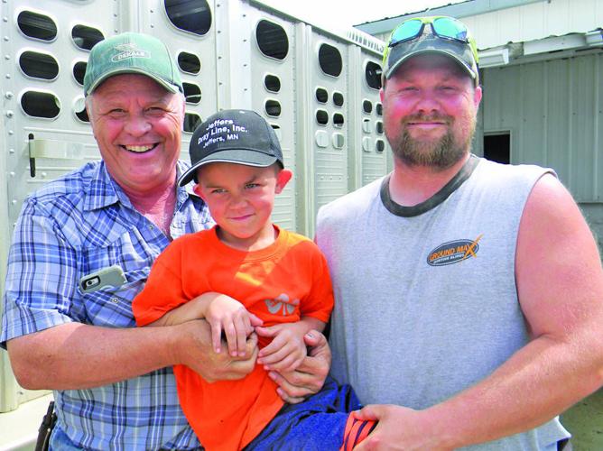 Historic Beef Royale emerging as top cattle show | News | thelandonline.com