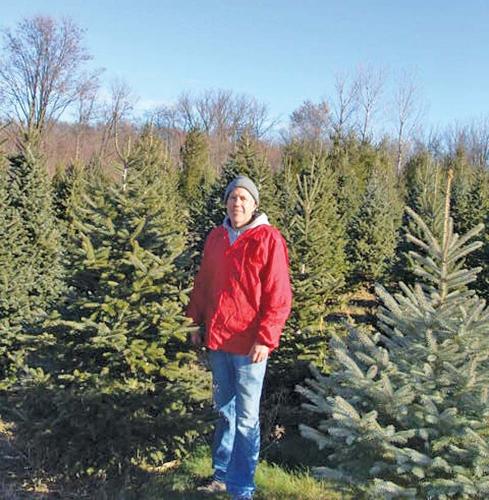 Everyone is a lumberjack at Guggisberg Tree Farm | News | thelandonline.com