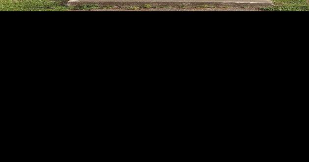 Honaker High School Graduates | News | thelebanonnews.com