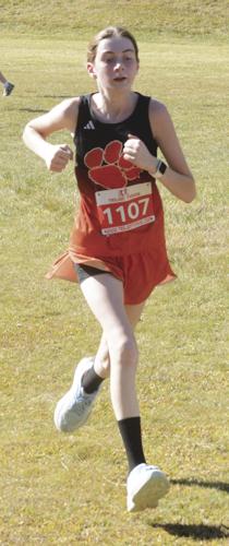 Honaker harriers sweep Hogo Tourney | Sports | thelebanonnews.com