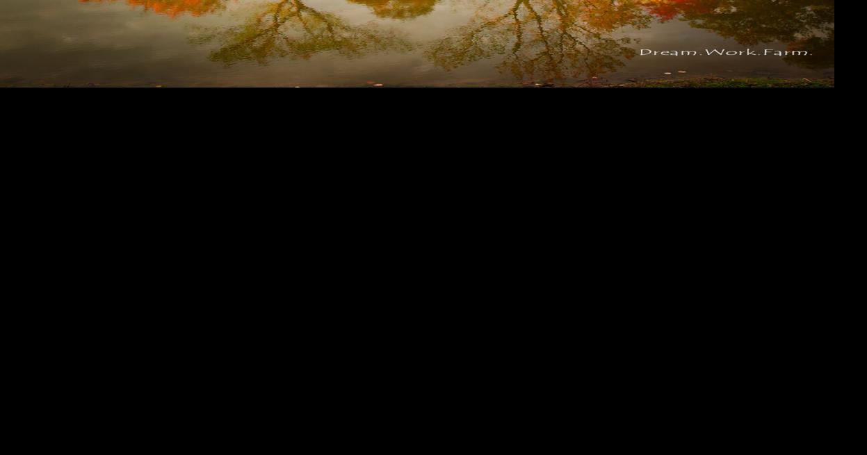 The Somberness of Fall | Announcements | themessengerky.com