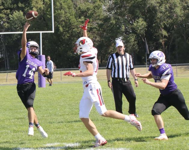 Cardinals Defeat Wildcats | Axtell | themindencourier.com