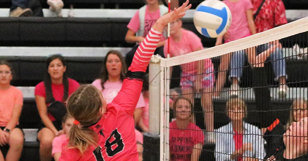 Lady Falcons Stumble at Ansley-Litchfield Tri | Wilcox-Hildreth ...