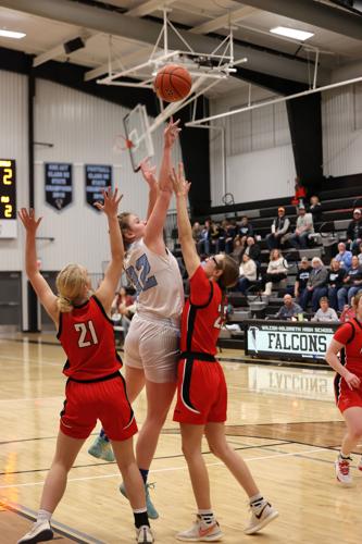 Wilcox-Hildreth Girls Take Hard Loss to Alma | Wilcox-Hildreth ...