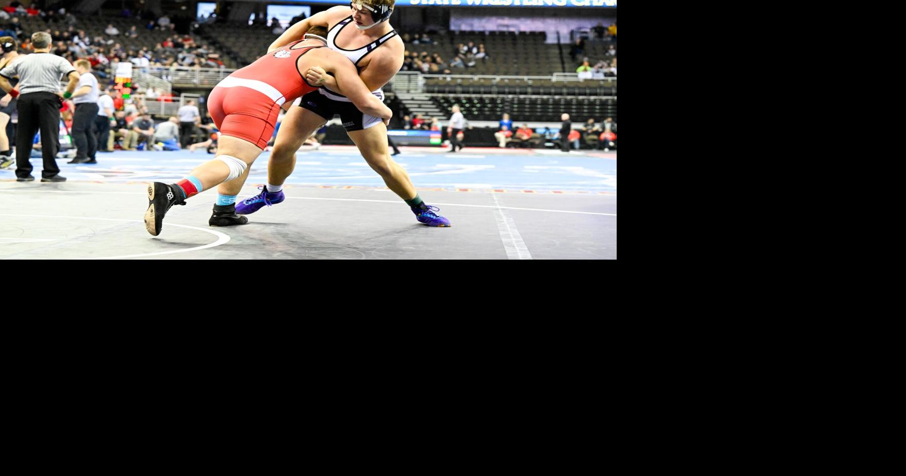 Hawkins Takes Fifth at State | Sports | themindencourier.com