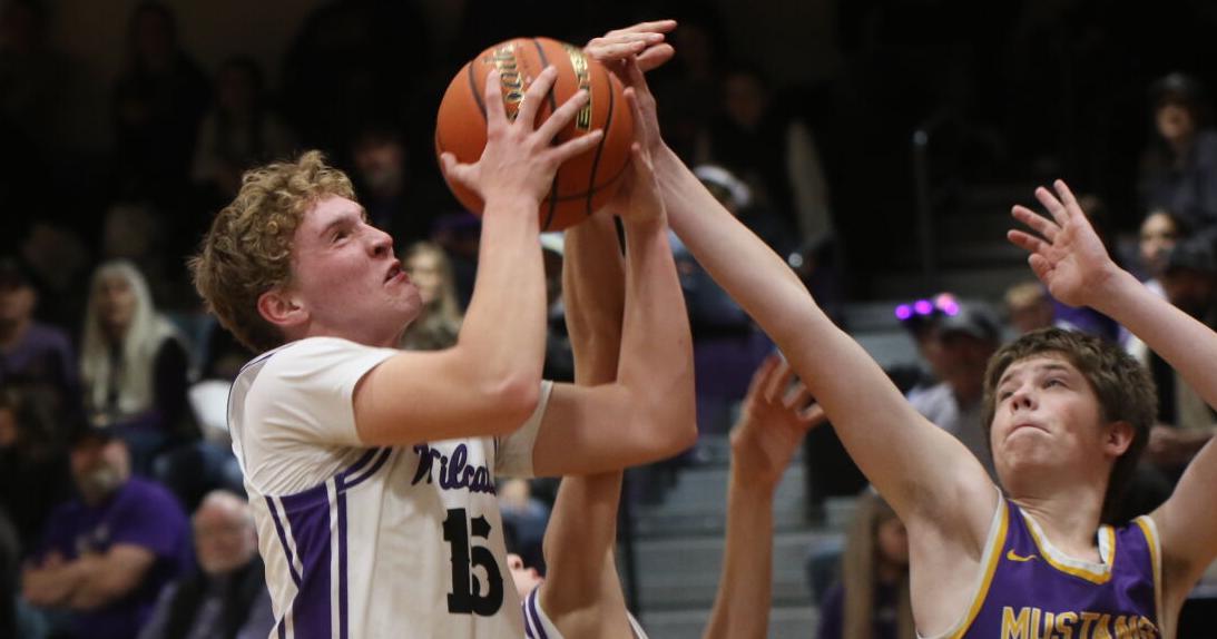 Cats Drop Two Tough Contests | Sports | themindencourier.com